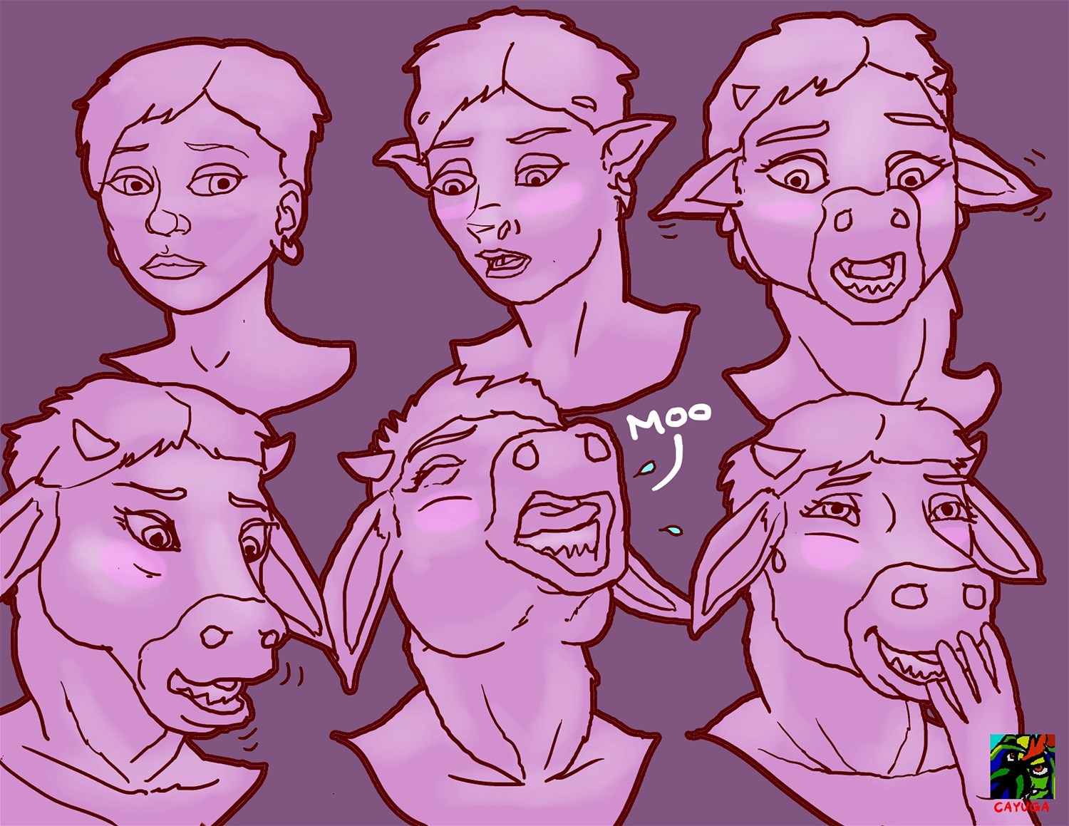 Cow Transformation